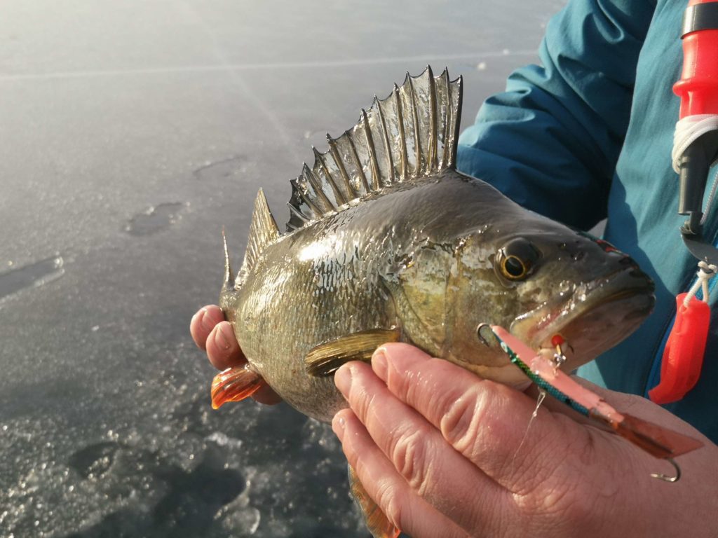 Jan Arild er over snittet opptatt av fisking og pilking, og driver ...
